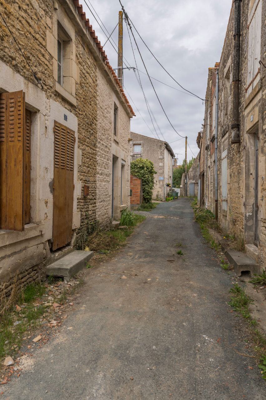 PPI et bilan - EPF Vendée